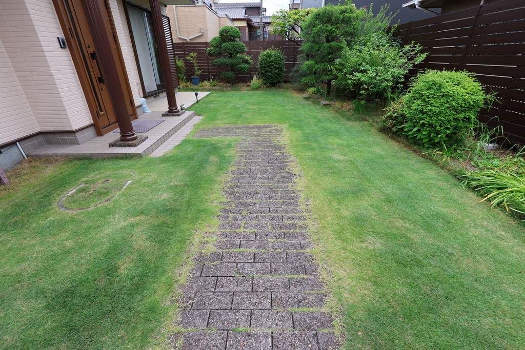 6月の芝刈り結果です。: The Digital Camera Diary