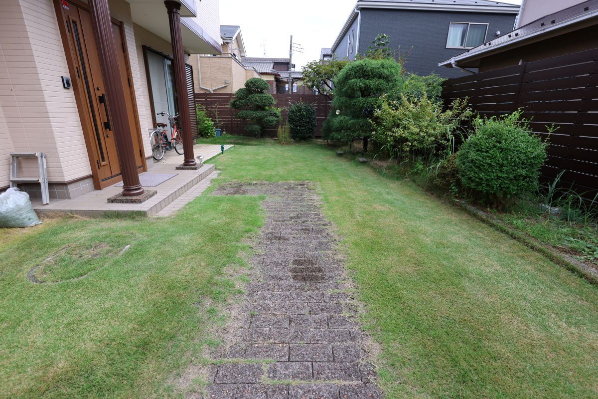 カワセミと10月の芝刈り。: The Digital Camera Diary