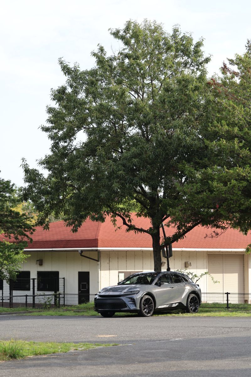 水元公園の画像をもう少し（1）: The Digital Camera Diary